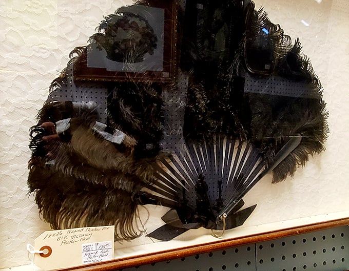 Victorian elegance meets practical cooling device. Before air conditioning, this feather fan was the height of sophisticated temperature control.