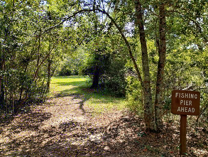 "Fishing Pier Ahead" promises more than just a place to cast a line&mdash;it's an invitation to slow down and practice the art of patience.