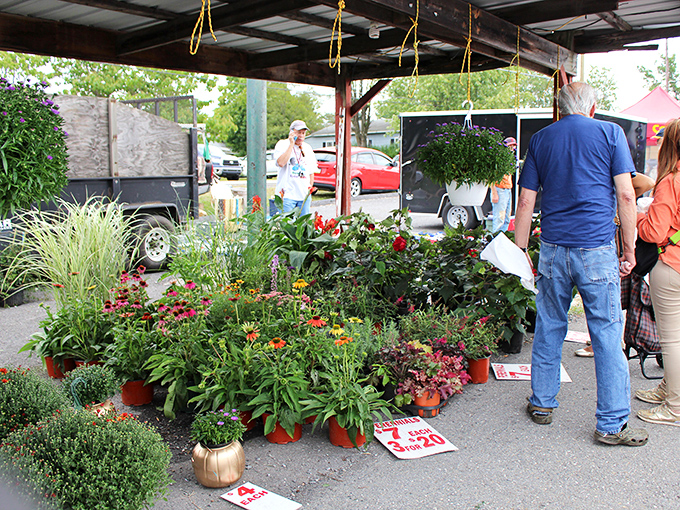 Spring arrives early at the plant vendor's corner, where green thumbs and aspiring gardeners alike find potted promises of colorful backyards.