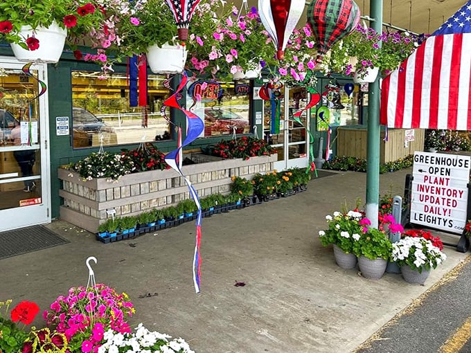 The greenhouse entrance blooms with hanging baskets and patriotic flair. Even plants dress up for weekend shopping here.