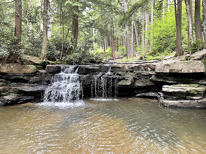 Tolliver Falls whispers rather than shouts, creating a peaceful woodland retreat where stress dissolves faster than sugar in hot coffee.