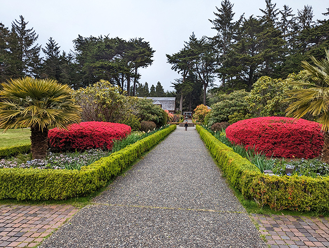 A garden path flanked by crimson sentinels leads visitors deeper into horticultural heaven. Even non-gardeners become converts here.