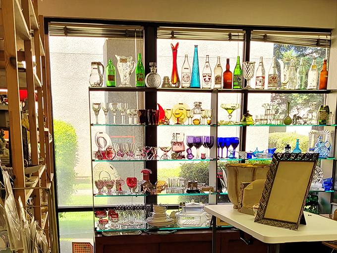 Sunlight transforms ordinary glassware into extraordinary jewels. Each shelf tells stories of cocktail parties and Sunday dinners from decades past.