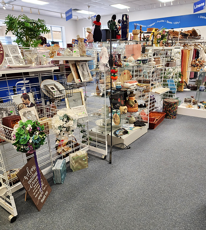 Decorator's paradise or prop department for a quirky indie film? Either way, these shelves of home accents offer endless possibilities for personalizing your space.