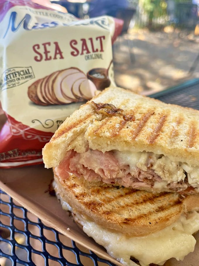 Not just a sandwich, but a work of art. Melted cheese cascades over perfectly grilled bread, with ham peeking out like it's playing hide and seek.