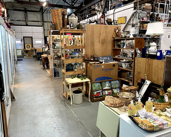Where treasures stack floor to ceiling in organized chaos. If Indiana Jones retired and opened a store, this would be it.