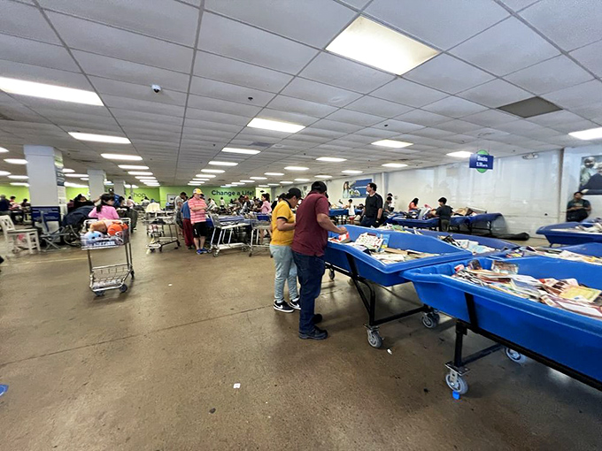 Welcome to the blue bin jungle, where shoppers circle like friendly sharks, waiting for fresh merchandise to appear.