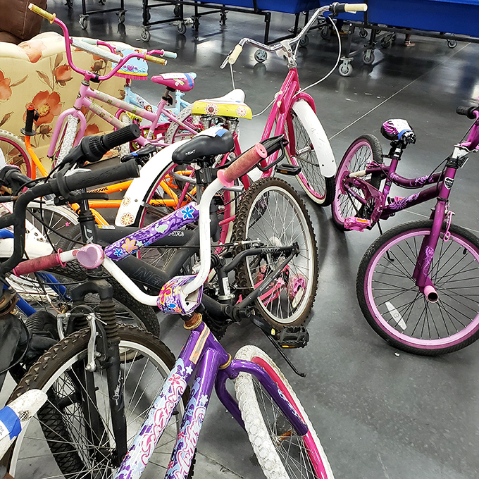 Bicycle heaven for growing families! These colorful kids' bikes wait patiently for new adventures, ready to create childhood memories without breaking the bank.