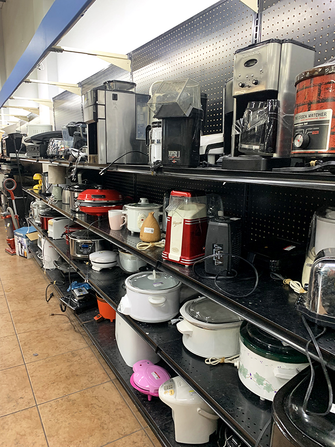 Kitchen gadget graveyard or culinary resurrection center? These appliances await their second chance to make morning coffee or perfect that smoothie recipe.