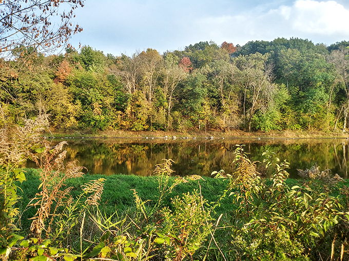 Where history meets horizon&mdash;this mound-dotted landscape once bustled with a thriving civilization long before Wisconsin was Wisconsin.