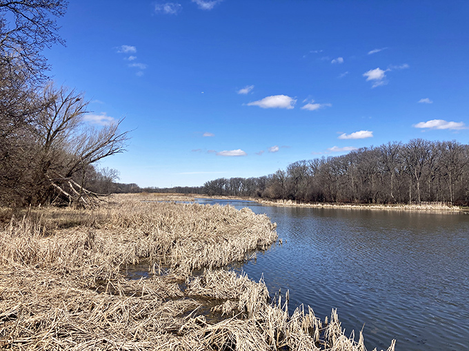 Early spring at Busse Woods reveals the preserve's quiet beauty&mdash;dormant reeds frame waters that have witnessed generations of Illinois families finding refuge.