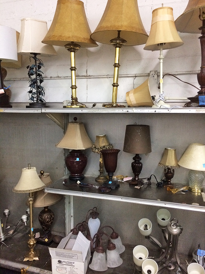 Lamp heaven! These brass beauties and ceramic stunners wait patiently for their second act, ready to illuminate someone's reading nook or dinner table.