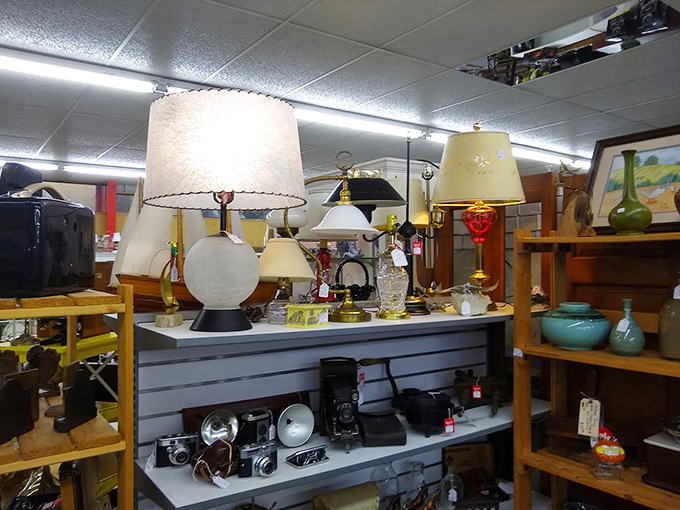 The lamp section could illuminate both your home and your understanding of 20th-century design evolution. That ceramic base has definitely seen some things.