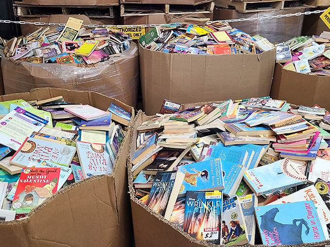 Literary treasure chests! These cardboard bins overflow with possibilities&mdash;spot "A Wrinkle in Time" peeking out, reminding us that adventures don't require batteries or Wi-Fi.