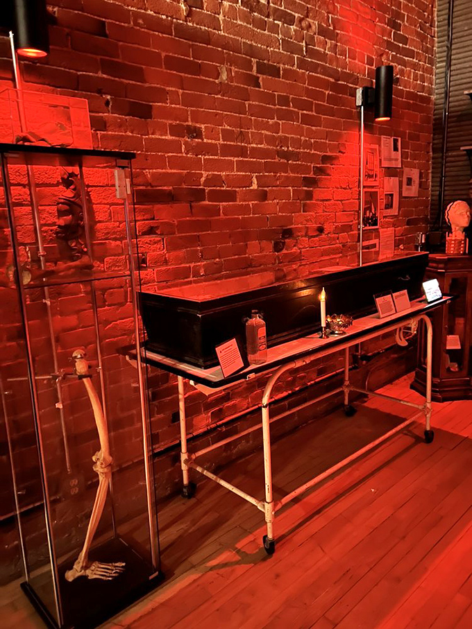 Medical oddities and skeletal remains stand sentinel in this macabre display. That gurney isn't just for show&mdash;it's seen things you wouldn't believe.