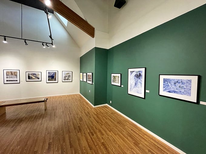 The museum's serene green walls provide the perfect backdrop for nature photography that transports you from gallery to wilderness in a glance.