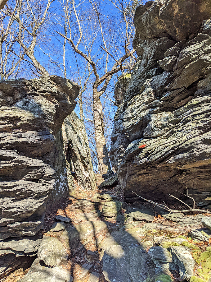 Ancient rock formations tell stories spanning millennia, creating natural sculptures that put modern art museums to shame.