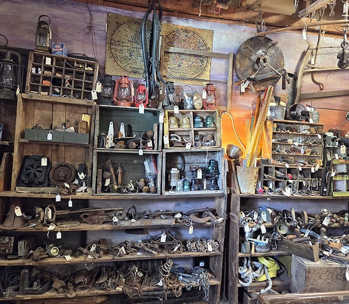 The hardware section&mdash;where modern DIYers and history buffs collide. These rusty treasures once built America, now they'll build character in your home.