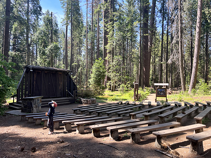 Outdoor amphitheater where Mother Nature provides the backdrop and occasionally steals the show. Shakespeare would approve of this stage.