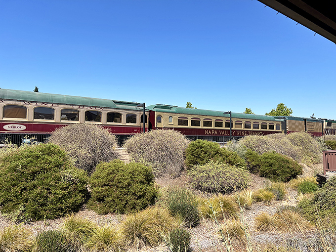 The Wine Train's classic cars bask in the California sunshine, looking like they're posing for a vintage postcard you'd send to make friends jealous.