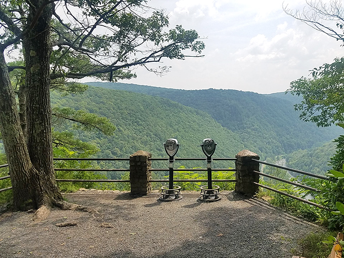 Two viewfinders stand sentinel at the canyon's edge, like mechanical tourists permanently mesmerized by the view.