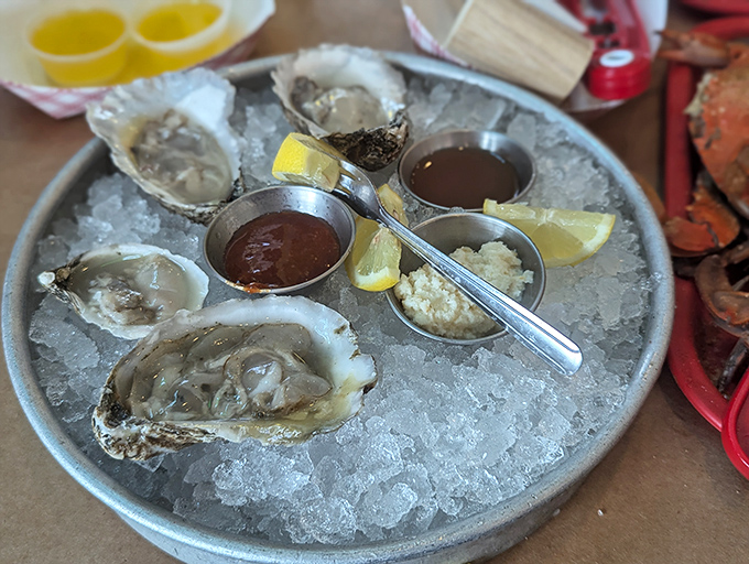 Fresh oysters lounging on ice like celebrities at a spa retreat. These briny beauties come with their own entourage of sauces and lemon wedges.