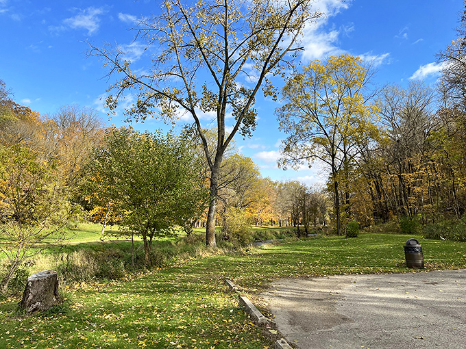 Fall's golden touch transforms the park into a painting that would make Bob Ross reach for his happy little trees.
