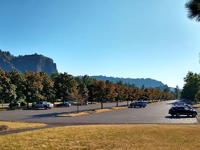 The parking area offers your first glimpse of the dramatic cliffs that make the Columbia River Gorge feel like nature's cathedral. Worth every mile of the drive.