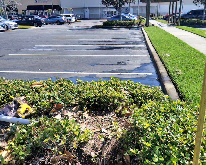 Parking spots you don't need binoculars to locate&mdash;a Florida miracle more impressive than any mouse-themed attraction.