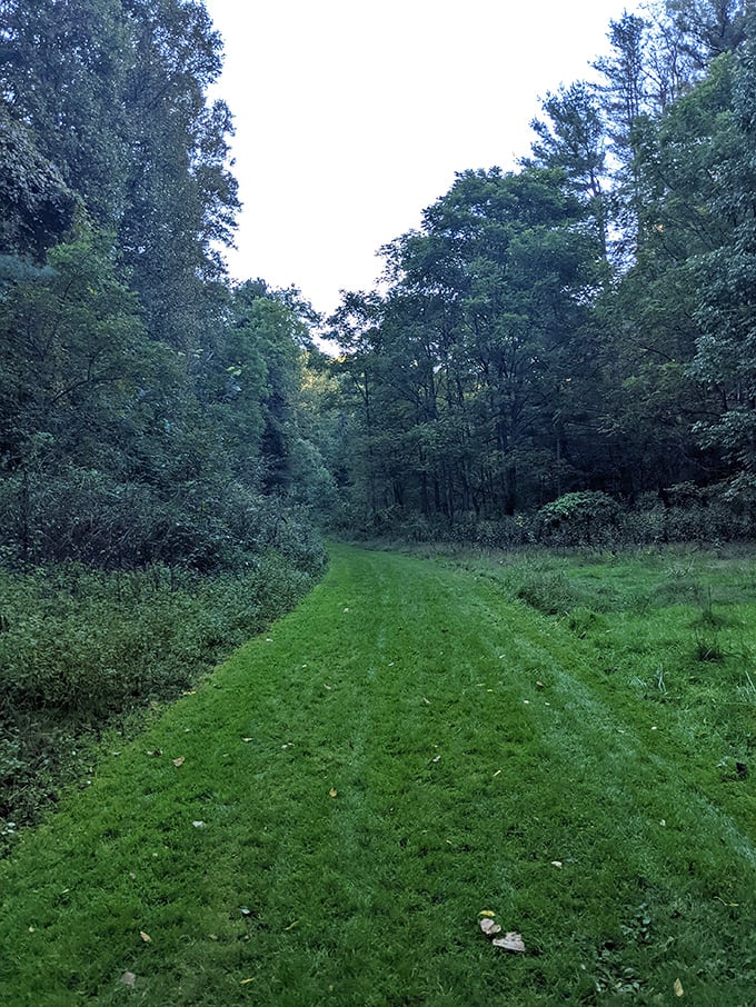 The definition of "off the beaten path." This verdant trail corridor offers a peaceful journey where the only traffic jam might involve a family of deer crossing your path.
