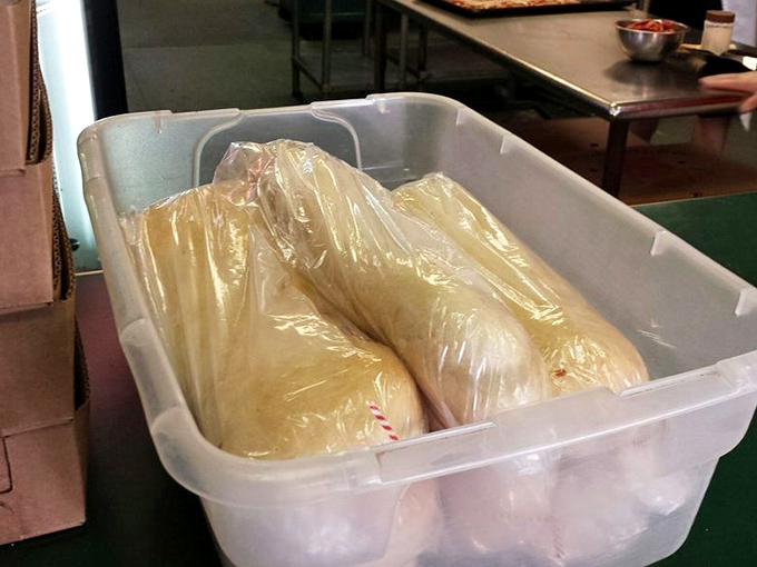 Dough babies waiting for their transformation. These humble-looking packages will soon become the legendary pepperoni rolls that drive people wild.