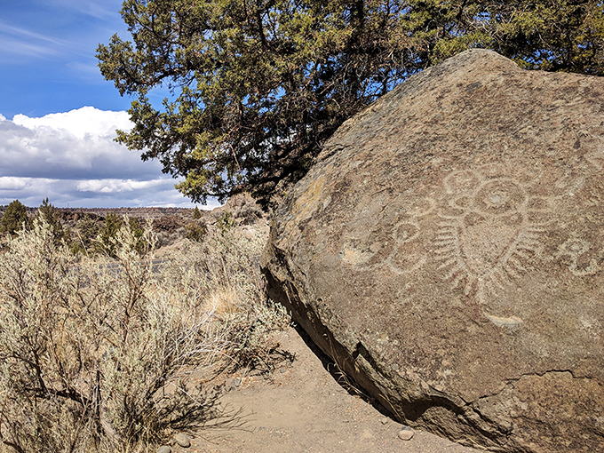 Ancient storytellers left their mark on these rocks, creating Oregon's original social media feed thousands of years before Instagram existed.