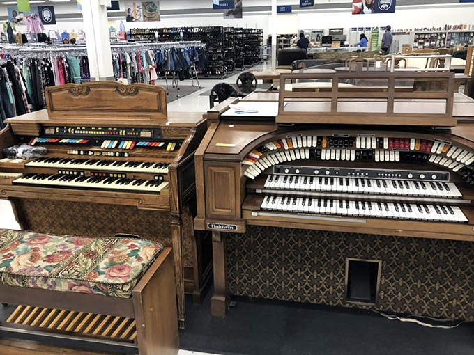 Not just any thrift store find&mdash;vintage organs and pianos that could turn your living room into Carnegie Hall (musical talent not included).
