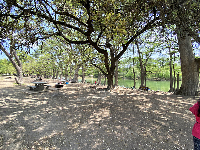 Ancient cypress trees stand guard over picnic tables that have hosted generations of Texas family reunions and first dates.