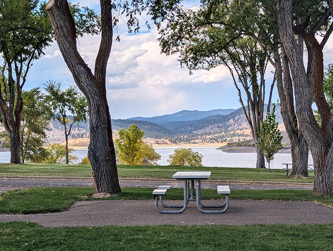 A picnic spot where the trees frame the view like nature's own art gallery. Worth every mile of the drive.