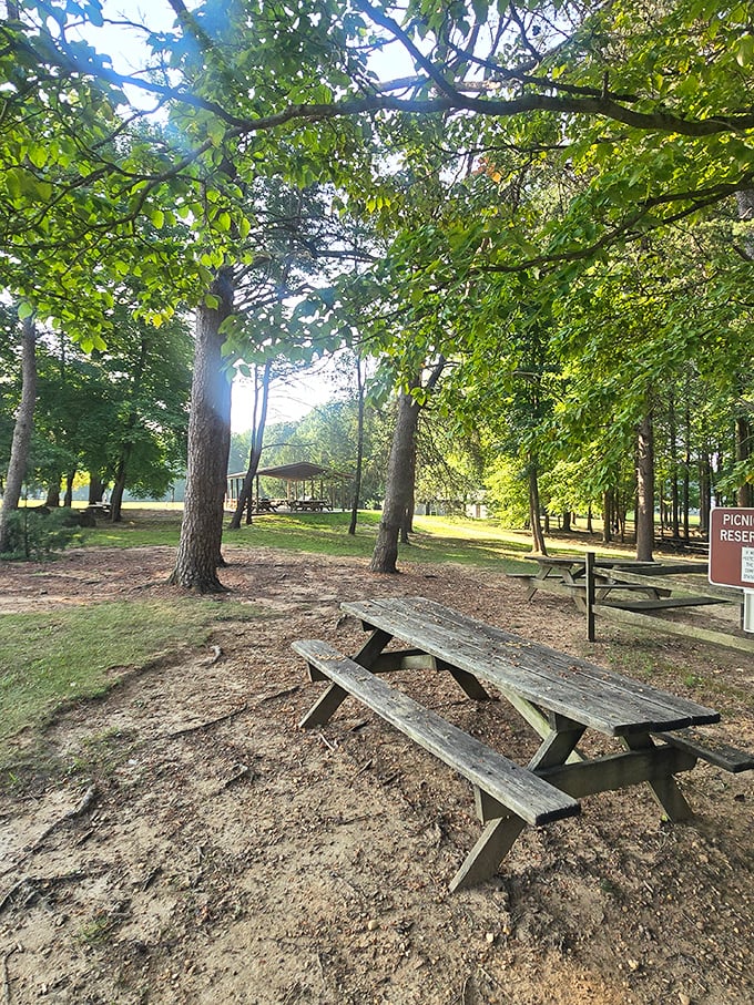 Picnic tables waiting for your potato salad masterpiece. The original outdoor dining experience, before it became trendy.
