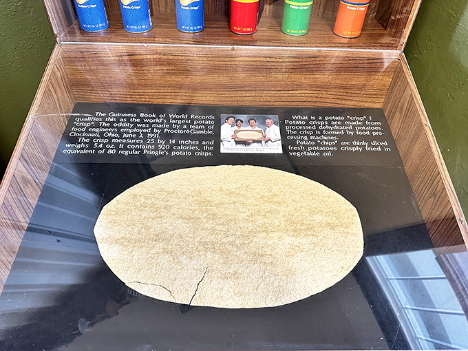 Behold the world's largest potato chip! Like finding the Hope Diamond of snack foods, this crispy wonder makes your bag of Lay's seem positively miniature.