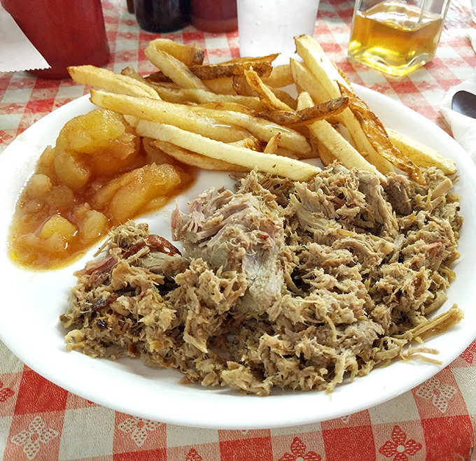 Pulled pork so tender it practically surrendered to the fork, accompanied by golden fries and stewed apples that taste like childhood.