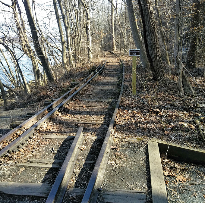 Nature reclaiming what man abandoned&mdash;these old railway tracks offer a literal path to the past. Robert Frost would approve of this less-traveled option.