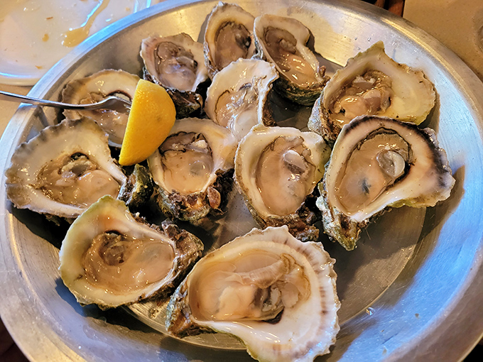 These glistening oysters aren't just fresh—they're practically still gossiping about what happened in the bay this morning.