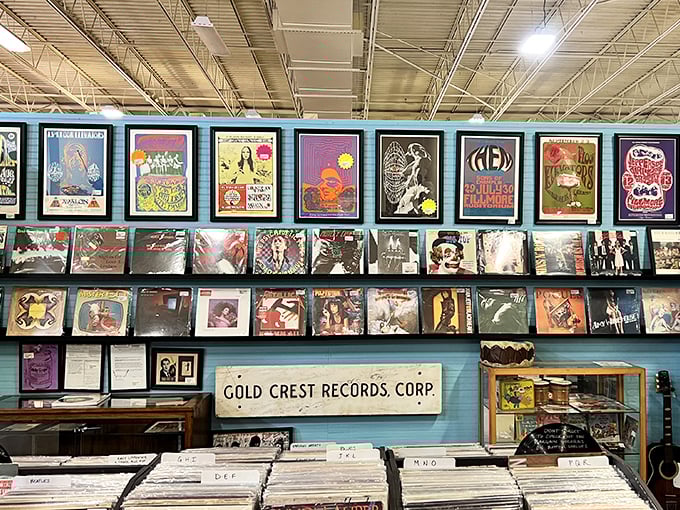 Vinyl paradise for music lovers! Album art that doubles as wall-worthy masterpieces, with soundtracks that defined generations. Digital streaming could never.