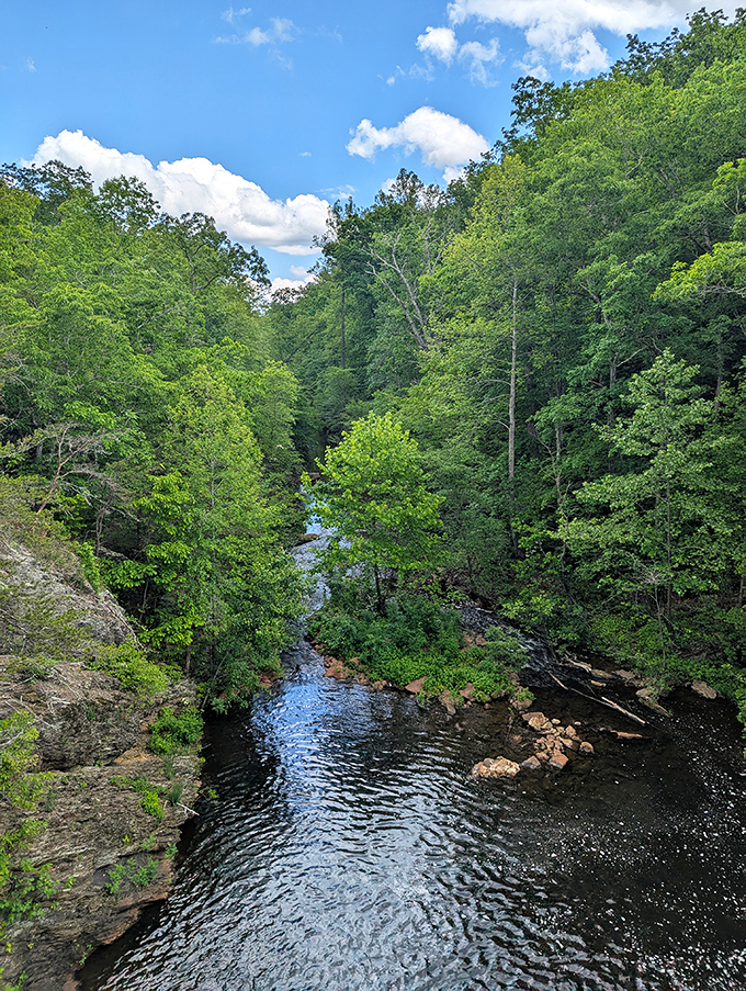 A stream runs through it! This peaceful waterway looks like it was designed by someone who really understood the concept of "getting away from it all."
