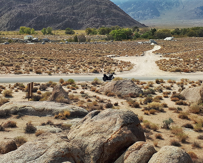 The road less traveled becomes the journey most remembered when it winds through this desert dreamscape.