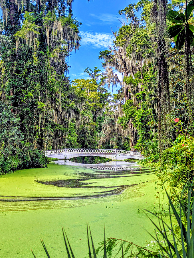 The white bridge reflects perfectly in algae-covered waters, creating an optical illusion worthy of an Escher painting.