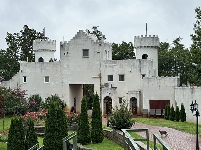 Even on cloudy days, this whimsical fortress maintains its storybook charm, like Cinderella's castle decided to retire somewhere with better weather.