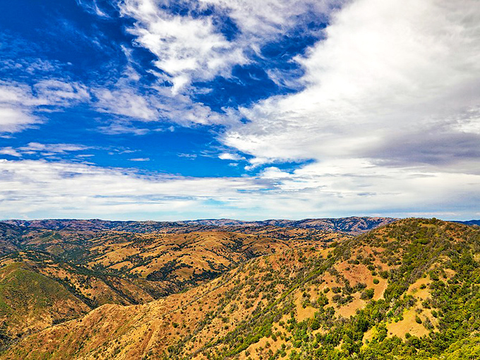 Mother Nature showing off her California curves. The golden hills stretch toward the horizon beneath a sky that seems to go on forever&mdash;no Instagram filter required.