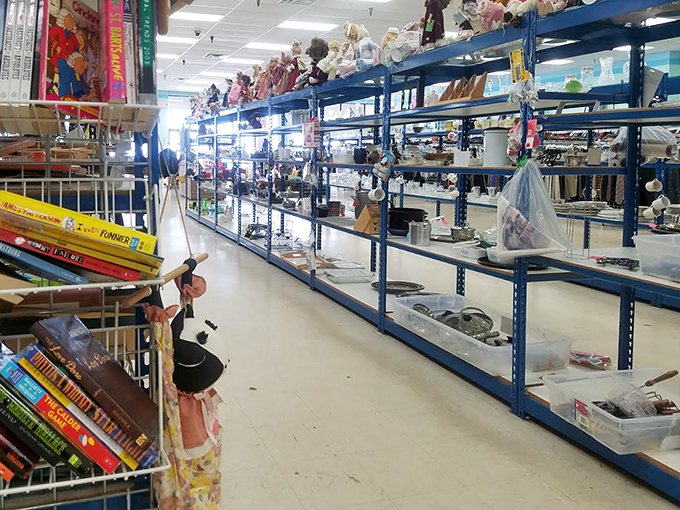 Shelves upon shelves of life's little necessities and curious oddities. Like an archaeological dig through modern American households.