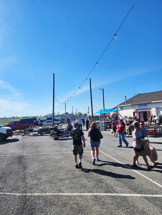 Sun-drenched shoppers navigate the marketplace maze, tote bags gradually filling with treasures they never knew they needed until this very moment.