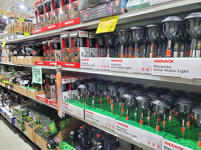 Solar stake lights line up like eager performers waiting for their garden debut. Magnavox products at prices that make outdoor illumination suddenly irresistible.