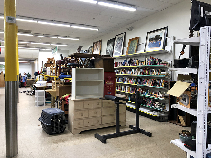 Books, furniture, and forgotten treasures coexist in beautiful chaos. Like an archaeological dig where the artifacts are someone's 1980s living room set.